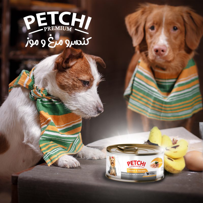 پتچی تولید کنند محصولات حیوانات خانگی - Petchi