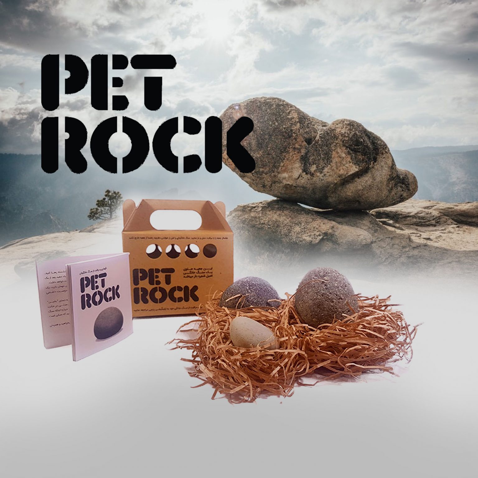 محصولات - Petchi