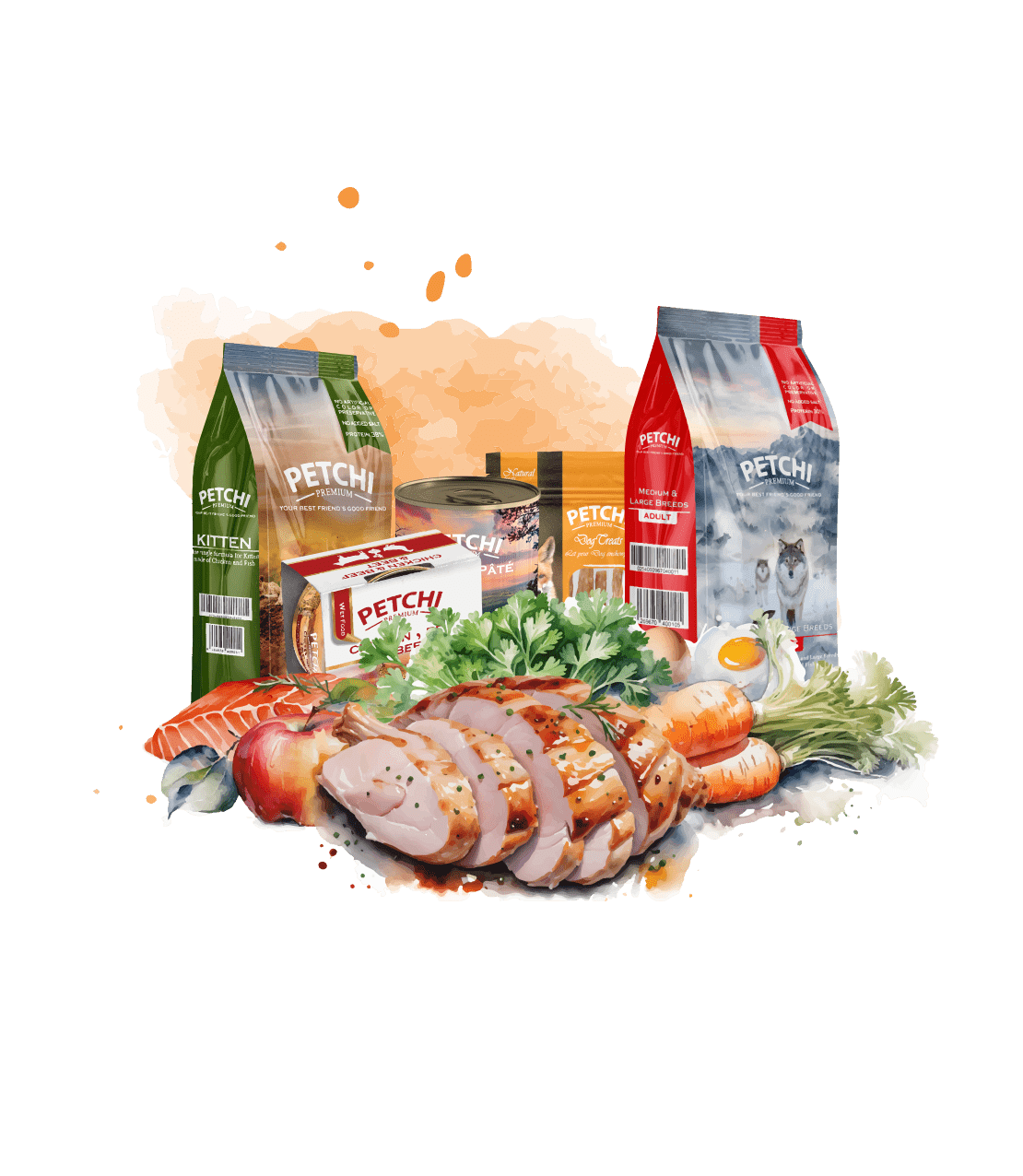 پتچی تولید کنند غذای خشک و تشویقی حیوانات خانگی - Petchi